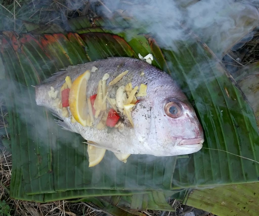 Fish on fire – Educational